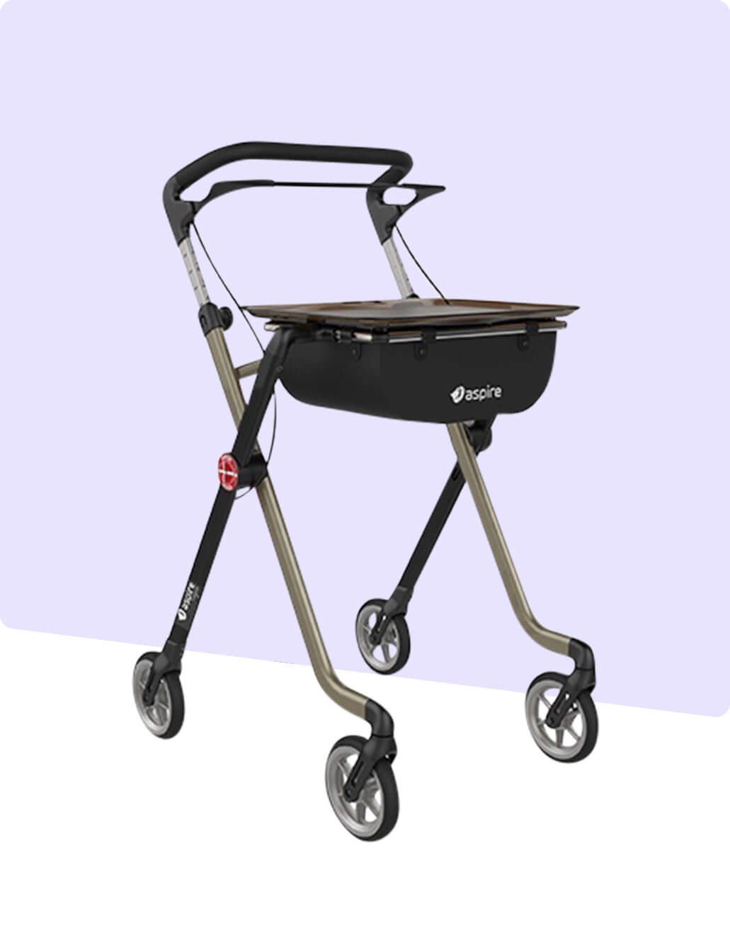 Shop Indoor Rollator / Walker | Adaptive Equipment